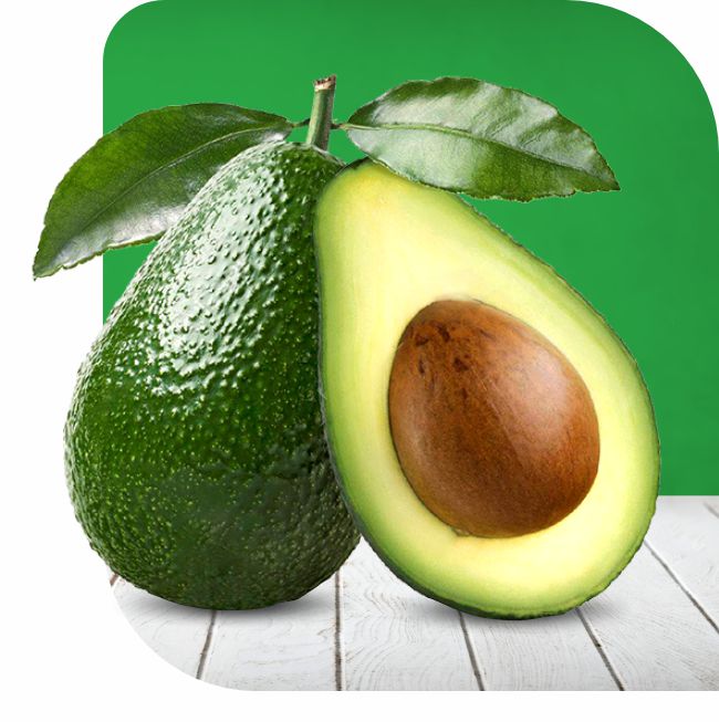 Palta – AGLS PRODUCE PERU